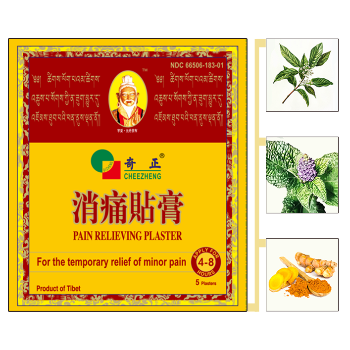 Cheezheng Tibetan Herbal Pain Relief – Cheezheng Himalaya Tibetan Pain ...